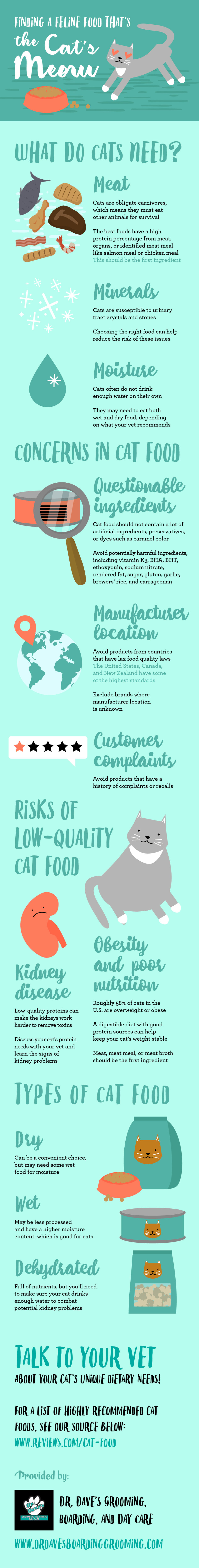 Feline Food Infographic for Your Picky Cats